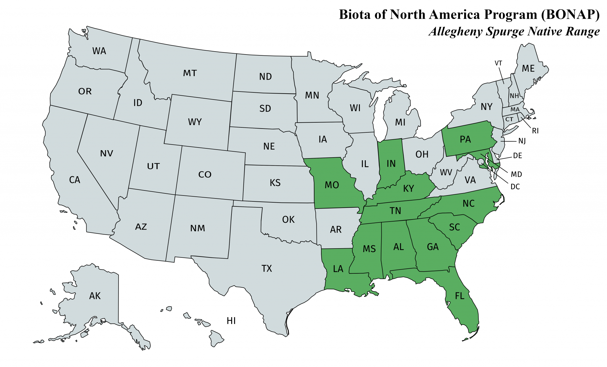 Allegheny Spurge - Boyd Nursery Company