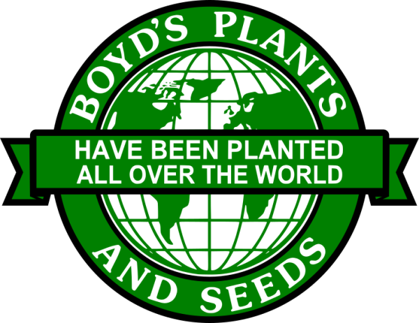 Boyd's Plants - Boyd Nursery Company